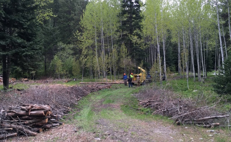 Chipping Program – Cascadia Conservation District