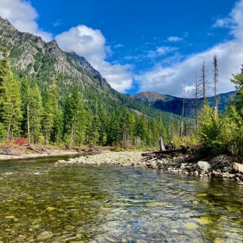 Cascadia Conservation District