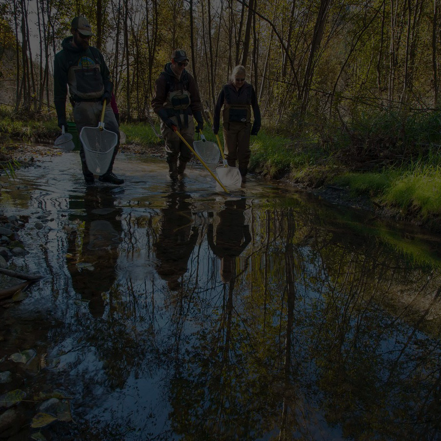 Along The Creek – Cascadia Conservation District